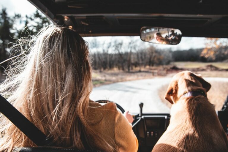 Is Your Eyesight Legal For Driving Rules Requirements is-your-eyesight-legal-for-driving-rules-requirements